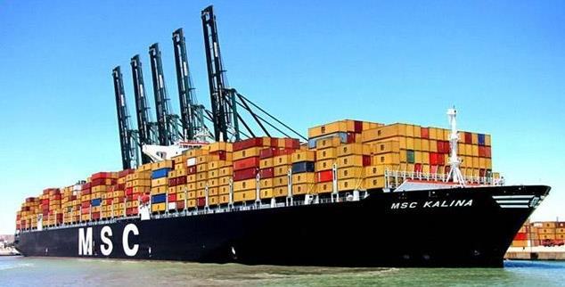 MSC adds ro-ro service | News | Heavy Lift & Project Forwarding ...