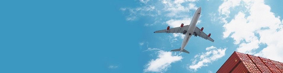 Ceva boosts freighter capacity | News | Heavy Lift & Project Forwarding ...