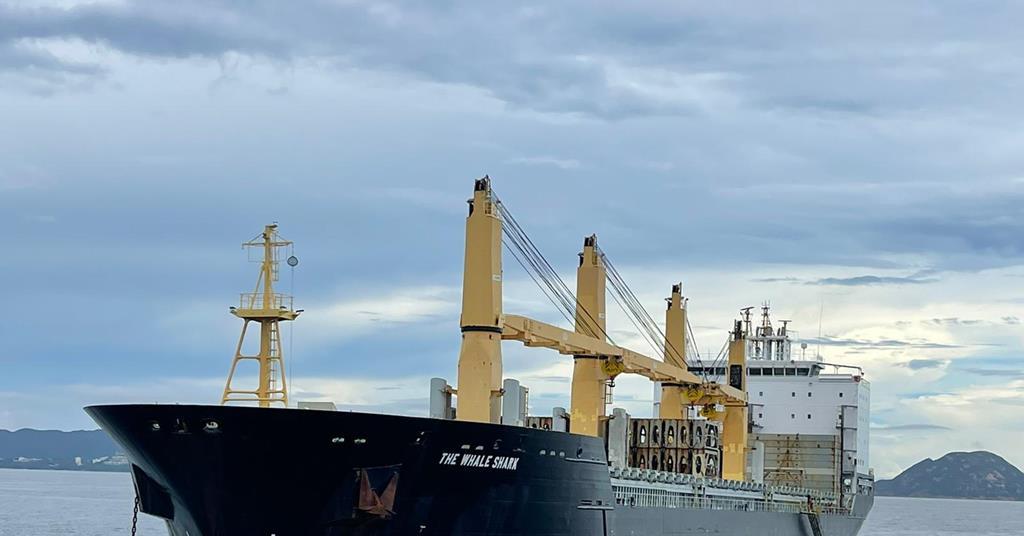 Carving out a niche | News | Heavy Lift & Project Forwarding International